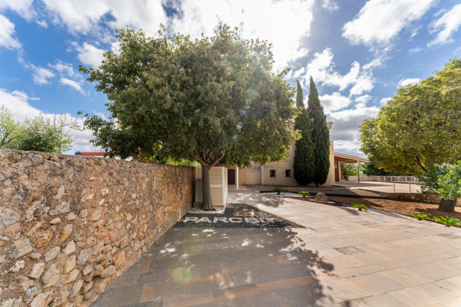 La Fundación Bit incorpora la Inteligencia Artificial en el desarrollo ...